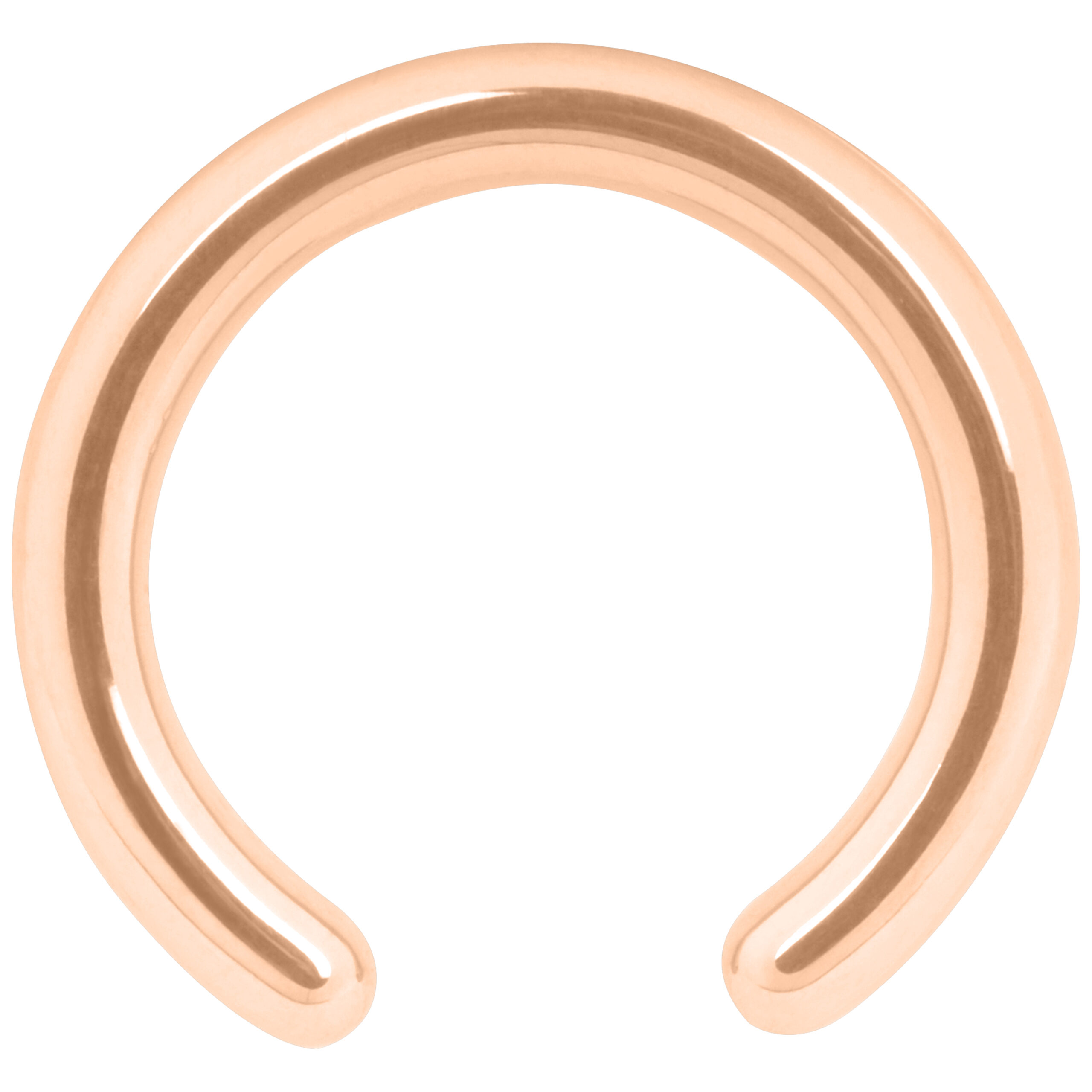 Fine Basic Clip In Ring - Wildcat Deutschland