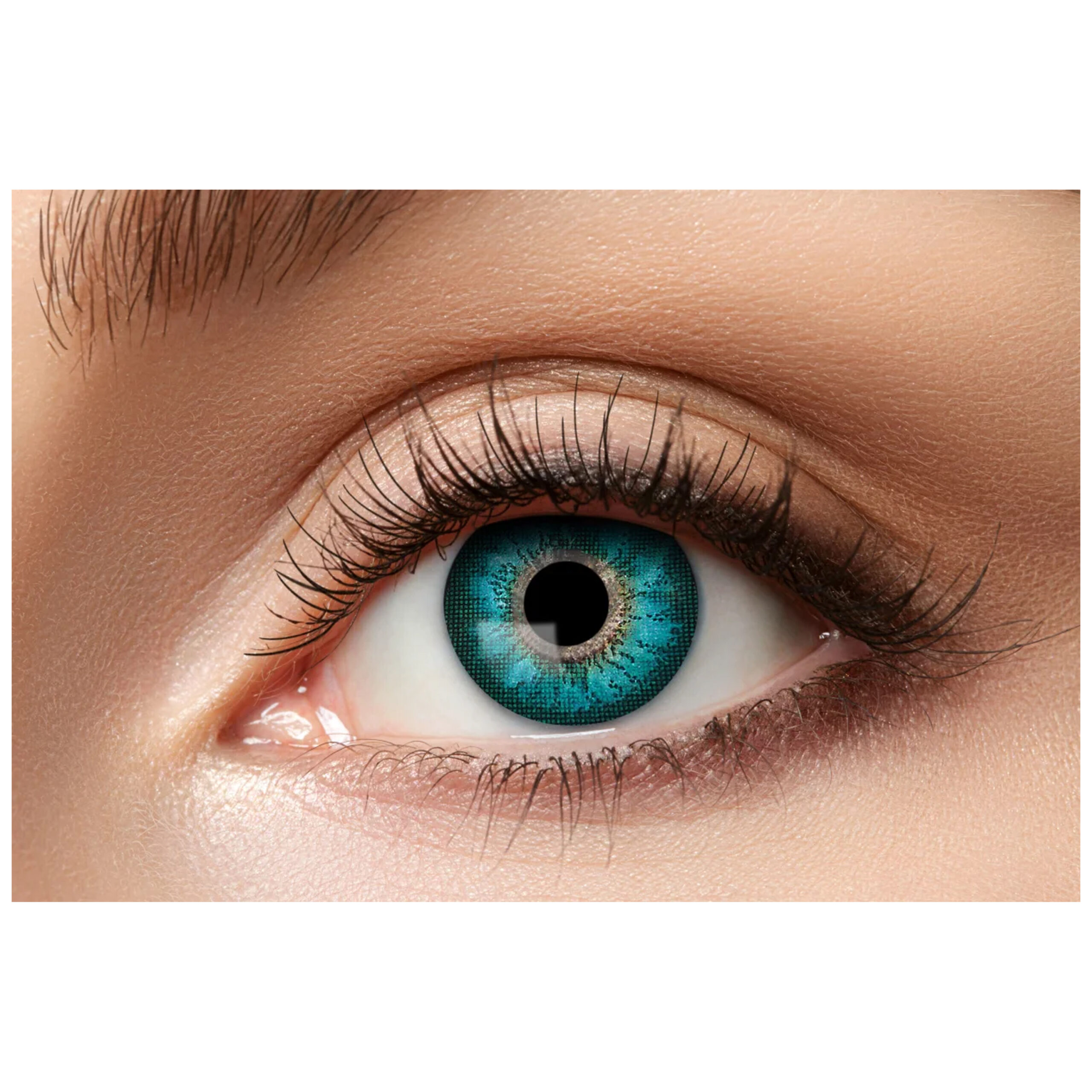 Light Turquoise Eyes - Wildcat Deutschland