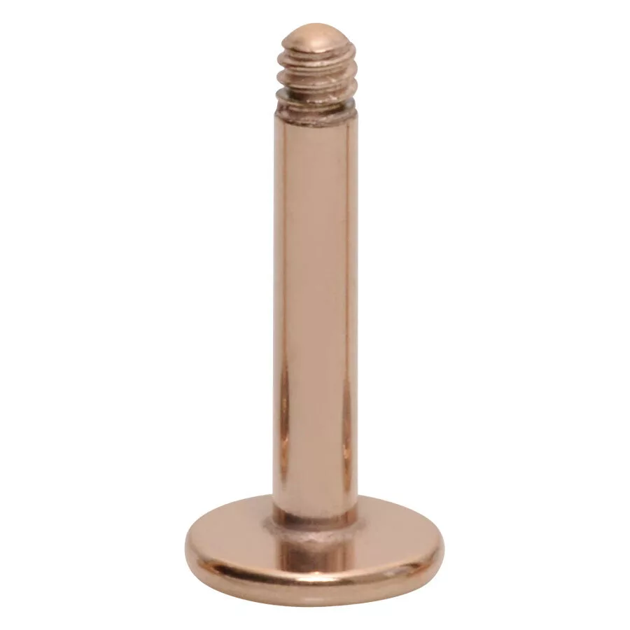 Basic Labret without Ball - Wildcat Deutschland