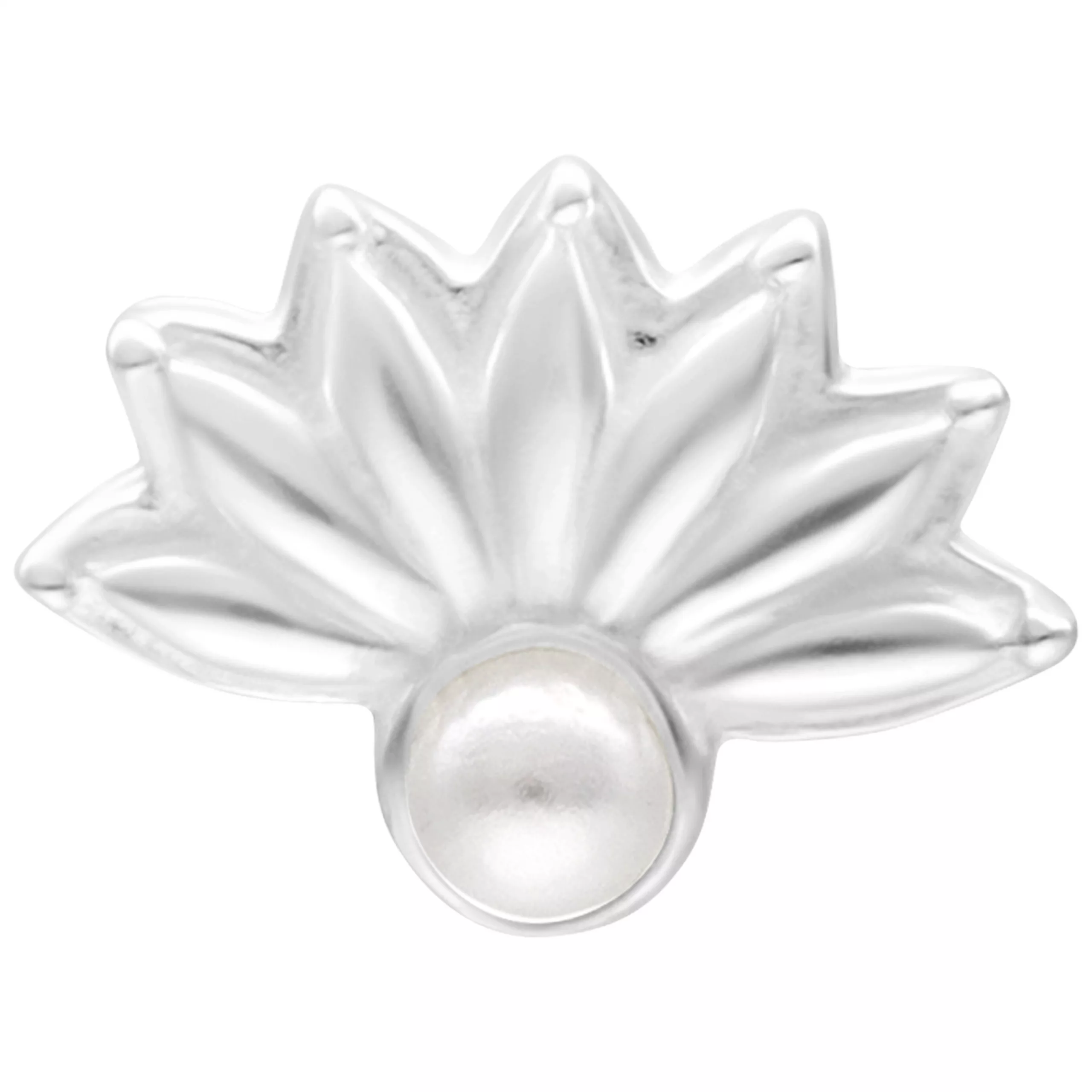 Push Fit Pearl Peacock Aufsatz für Bioplast - Wildcat Deutschland