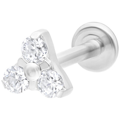 Piercings - Wildcat Deutschland