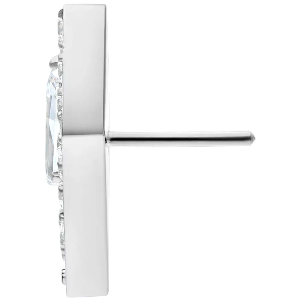 Push Fit Crystal Shield Aufsatz - Wildcat Deutschland