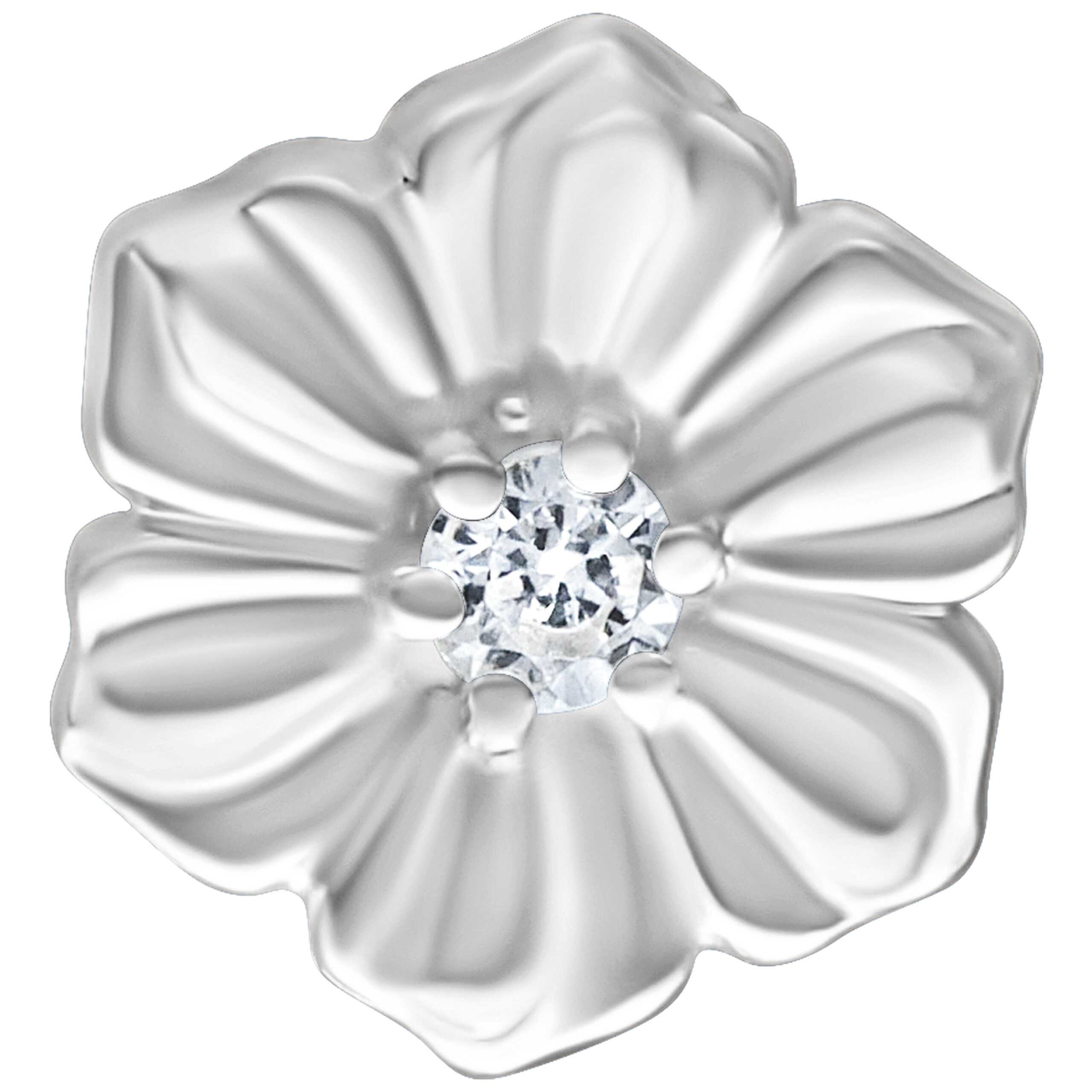 Push Fit Hibiscus Aufsatz für Bioplast - Wildcat Deutschland