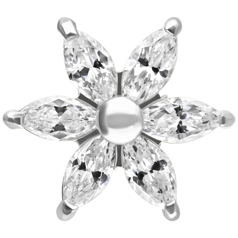 Hibiscus Flower Attachment for Internally Threaded - Wildcat Deutschland